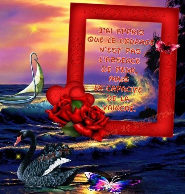 Bonjour