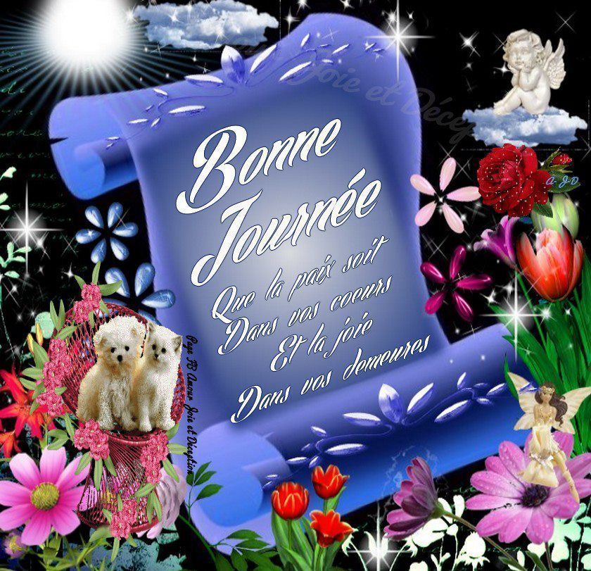 bonjour à tout le monde